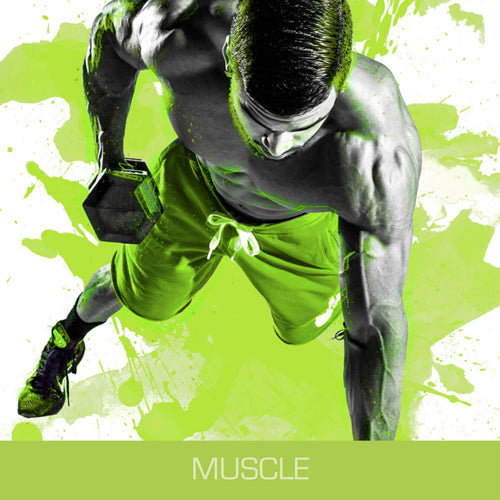 PureSource Nutrition | Buy Bulk Supplements & Nutrition Powders Online ...